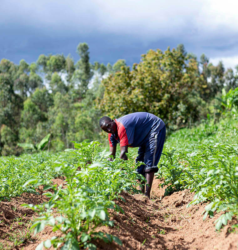Who We Are | Impact Investing Kenya